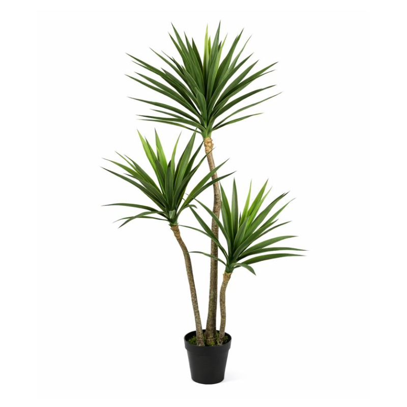 YUCCA copac artificial - A236KG
